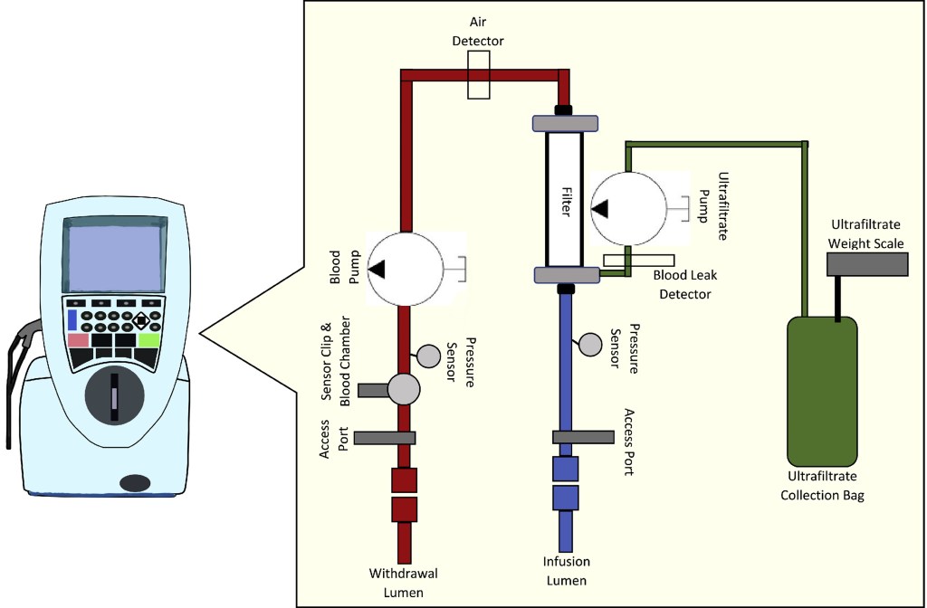 #NephMadness 2022: Neonatal Nephrology Region – AJKD Blog