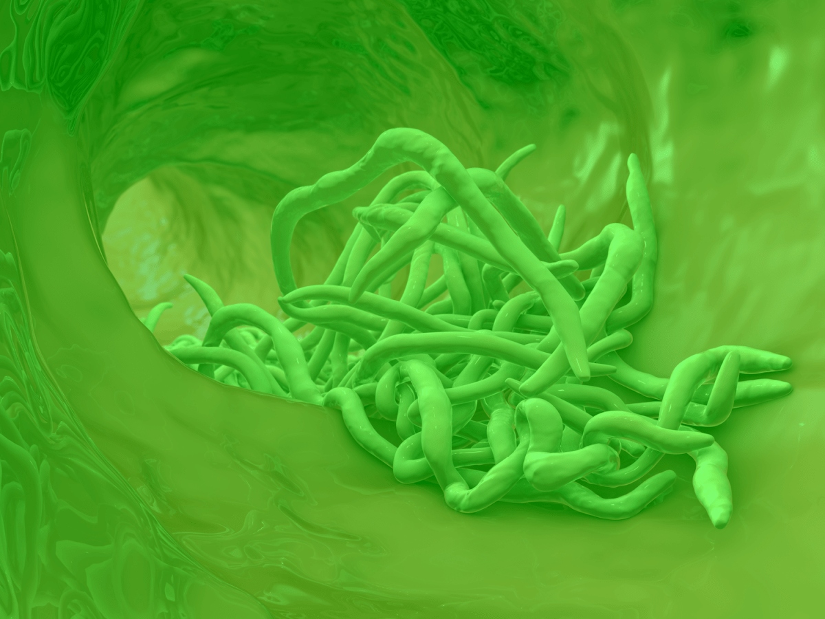 AJKD Blog – Official Blog of the American Journal of Kidney Diseases