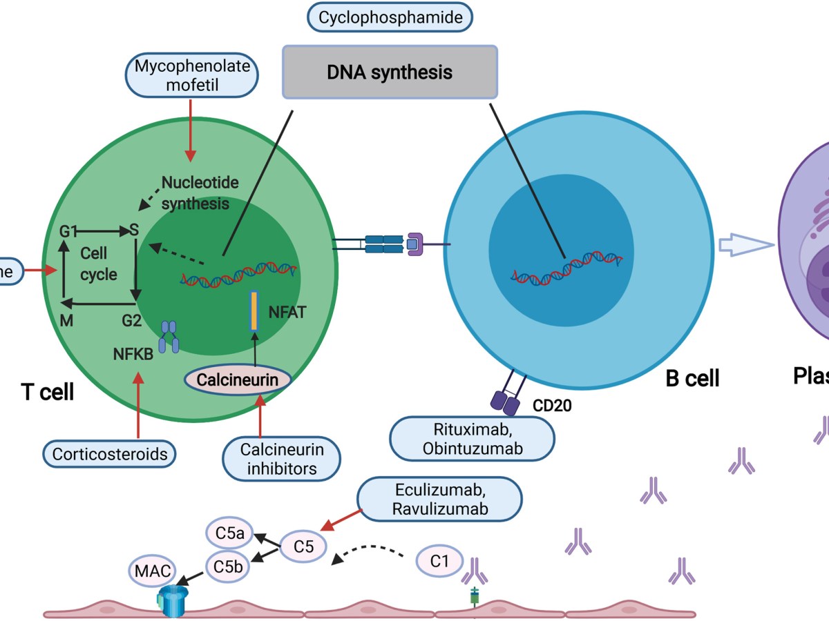 AJKD Blog – Official Blog of the American Journal of Kidney Diseases