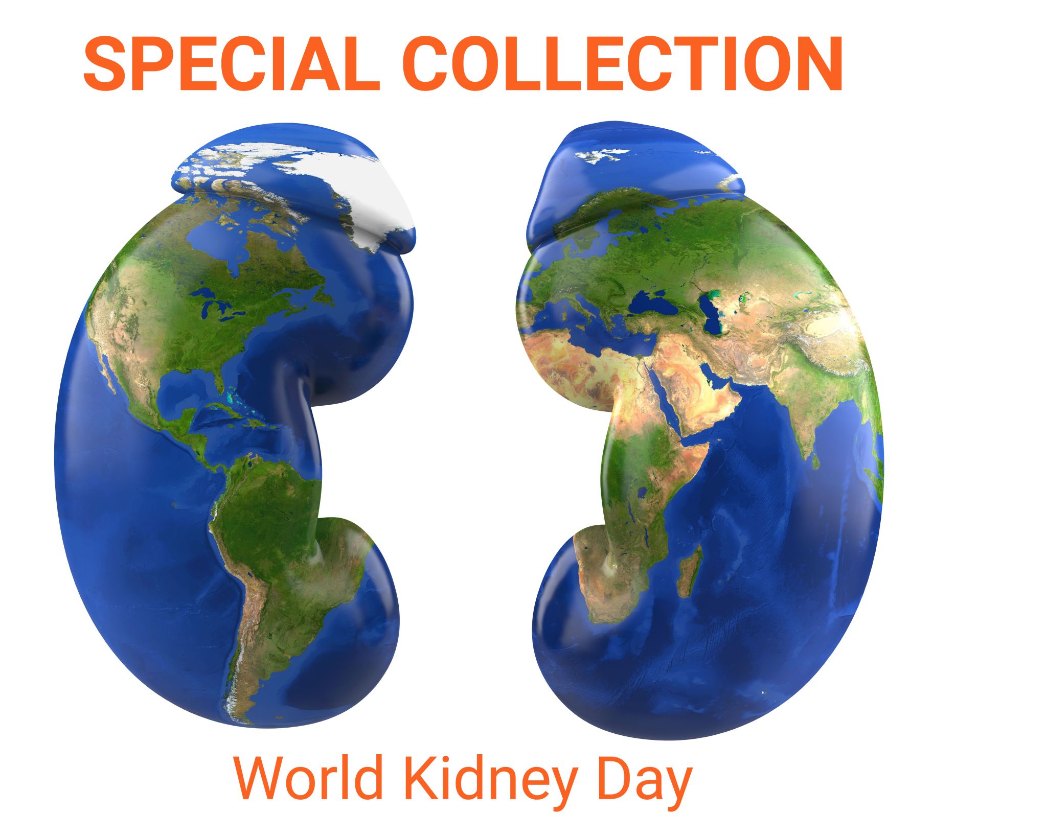 Parasites and the Kidney — A Very Long and Tumultuous Relationship ...