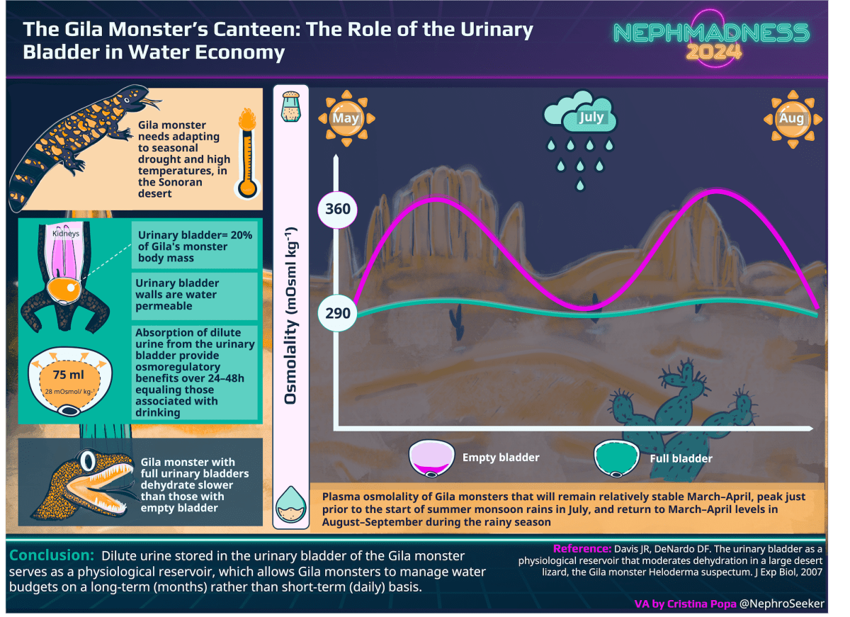 #NephMadness 2024: Animal House Region – AJKD Blog