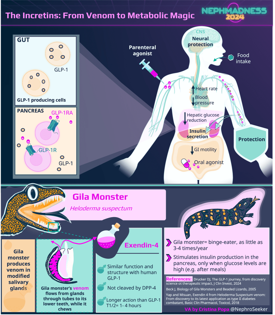 #NephMadness 2024: Animal House Region – AJKD Blog