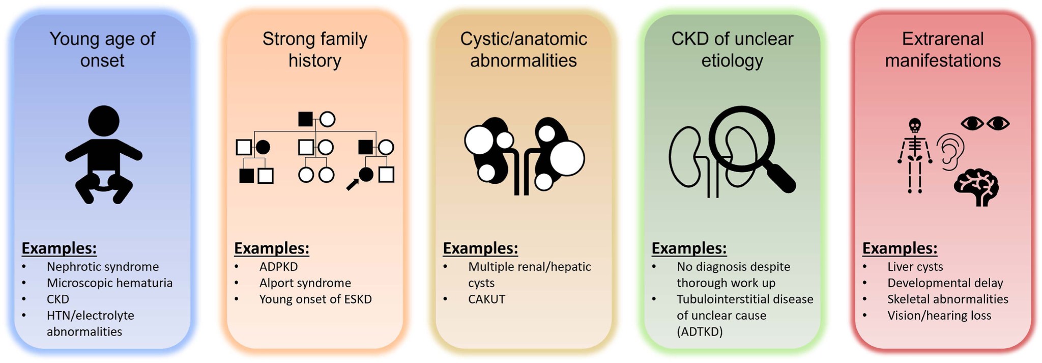 Genetic Testing Core Curriculum: An Interview – AJKD Blog